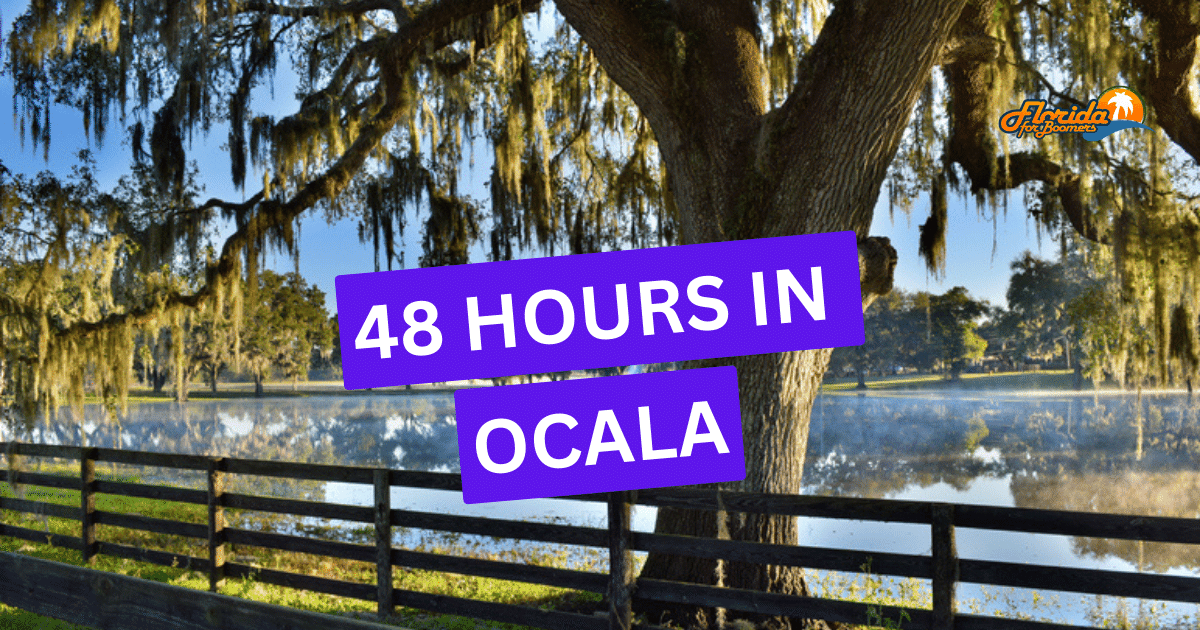 48 Hours in Ocala